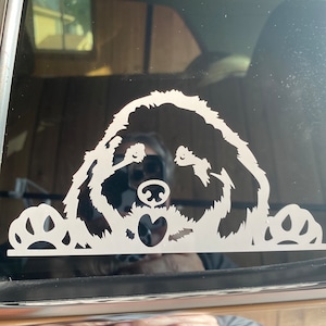 WHEELCHAIR ACCESS REQUIRED Car Sticker Decal Window Door - Etsy