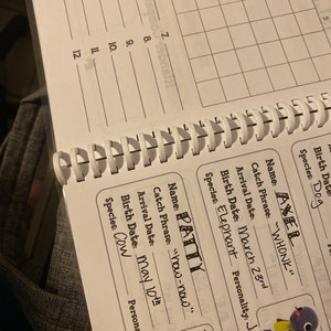 ACNH Island Planner Journal for Animal Crossing Adventures INCLUDING ...