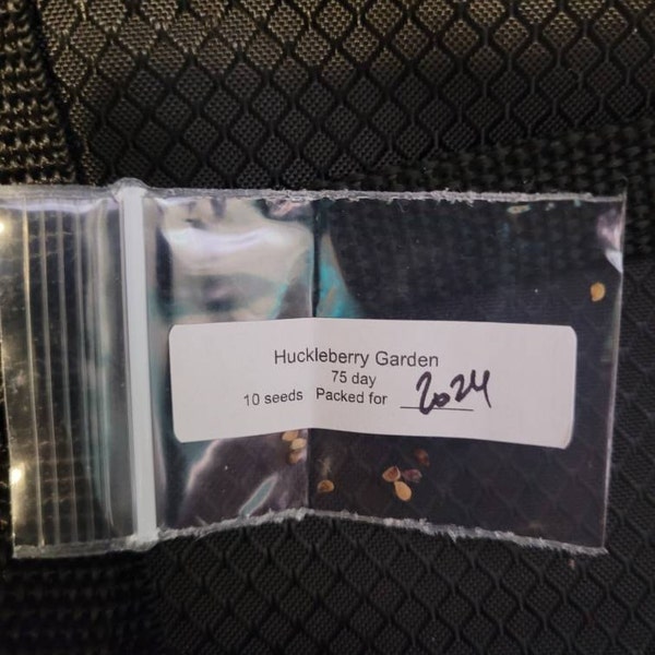 Hollyhock Indian Spring Mix Seeds Heirloom USA NJ Grower See My Store ...