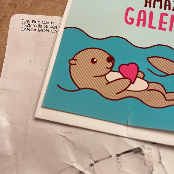 Funny Wedding Card Doge "such Grats, Very Wedding" - Funny Card ...