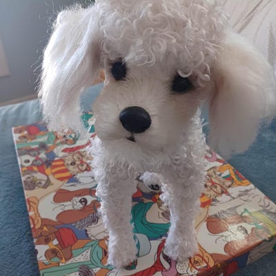 Puppy Jeri made to Order Realistic Toy, Poodle Dog , Toy Poodle, Fur ...