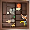 Wooden Curiosity Cabinet Printer Tray Letterbox Display, Rock Display ...