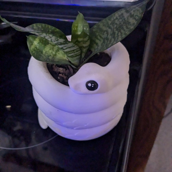 Snake Planter - Snake Plant Pot With Drainage - Cute Snake Planter ...