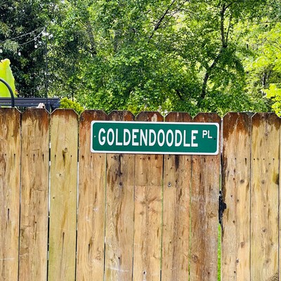 Goldendoodle, Goldendoodle Lover, Goldendoodle Sign, Custom Street Sign ...