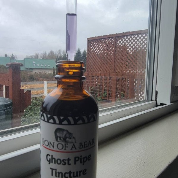 Ghost Pipe Tincture From Maine. Wild Harvested Indian Pipe Extract - Etsy