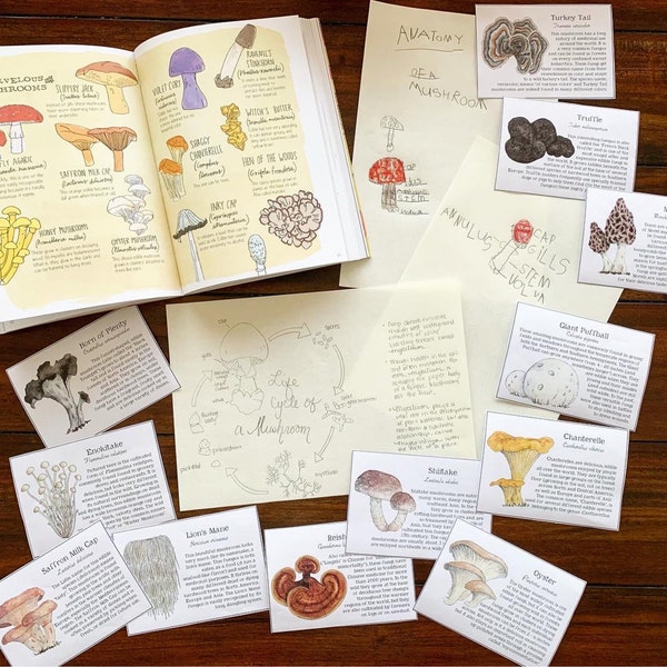 Useful Fungi Digital Bundle - Digital Print + Learning Cards ...
