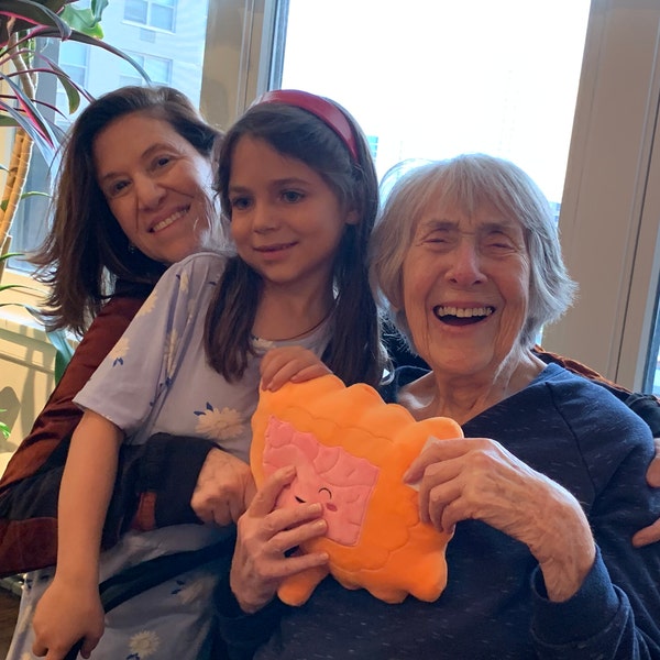 Nerdbugs Gallbladder Plush Organ Toys- Gallbladder Surgery Gift ...