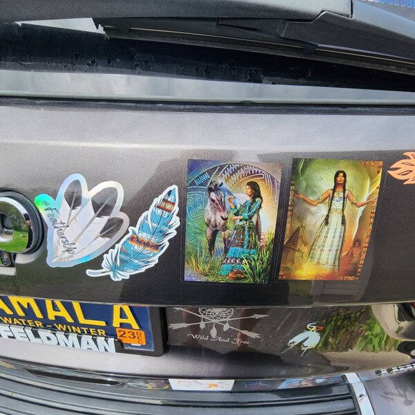 Stickers, 'indigenous Excellence' - Die-cut Vinyl Stickers, Social ...