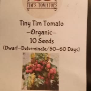 Micro-tom Tomato Seeds Organic - Etsy