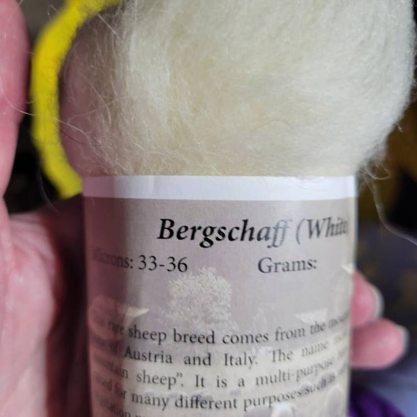 40 Sheep Breed Study Samples - Combed Top Wool Fibre - 1 Kilo - Etsy