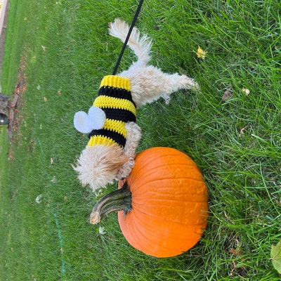 Bumblebee Dog Sweater / Halloween Costume Available in 4 Sizes - Etsy
