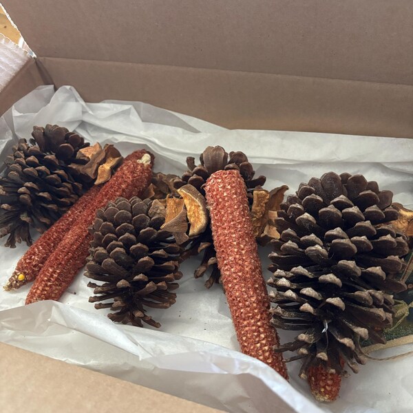 Primitive Rustic Dried Corn Cob Pine Cone Sweet Potato Garland - Etsy