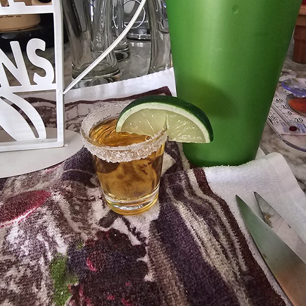 Realistic Fake Turkey - Etsy