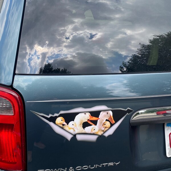 Ducks Car Decal , Farm Decal, Funny Duck , Vinyl Decal, Bird Sticker ...