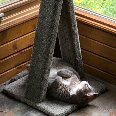 A-frame Cat Scratch Post/scratching Post/cat Scratcher/kitten/scratcher ...