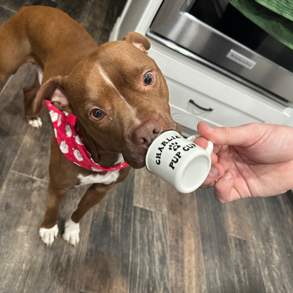 Big Bro Big Sis Pregnancy Announcement Custom Dog Bandana - Etsy
