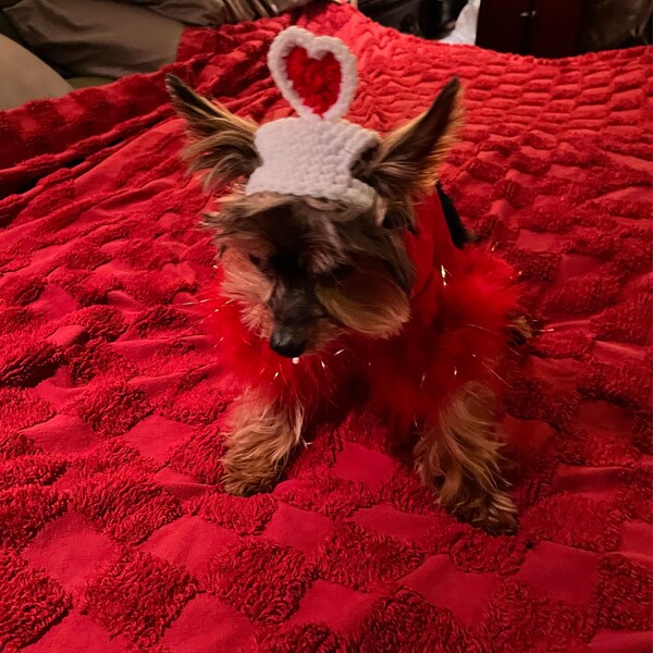 ANY COLOR Crochet Bead Pal Lizard 28"x12" - Etsy