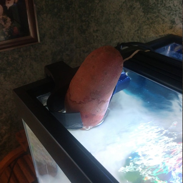 Poth-o-carry® Sweet: Sweet Potato Tank-side Holder for Your Aquarium ...