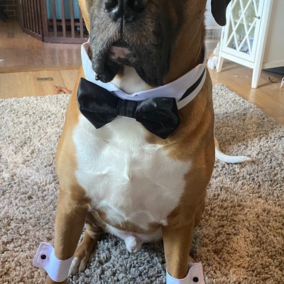 Dog Cuffs, Custom Dog Tuxedo Cuffs for Wedding, Dog Wedding Accessory ...