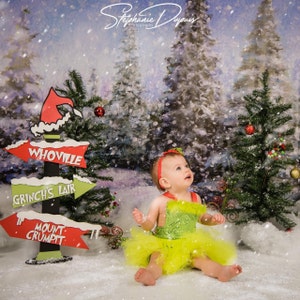 18 X 6 Believe Box Frame, Grinch Sign, Glitter Grinch, Grinch Decor ...