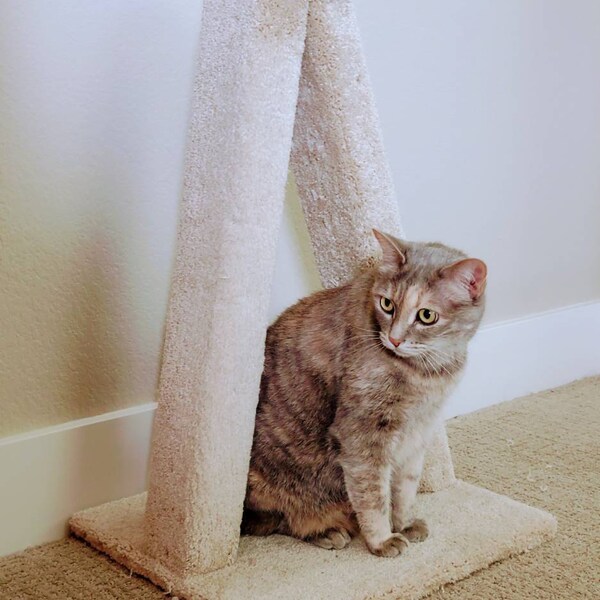 A-frame Cat Scratch Post/scratching Post/cat Scratcher/kitten/scratcher ...