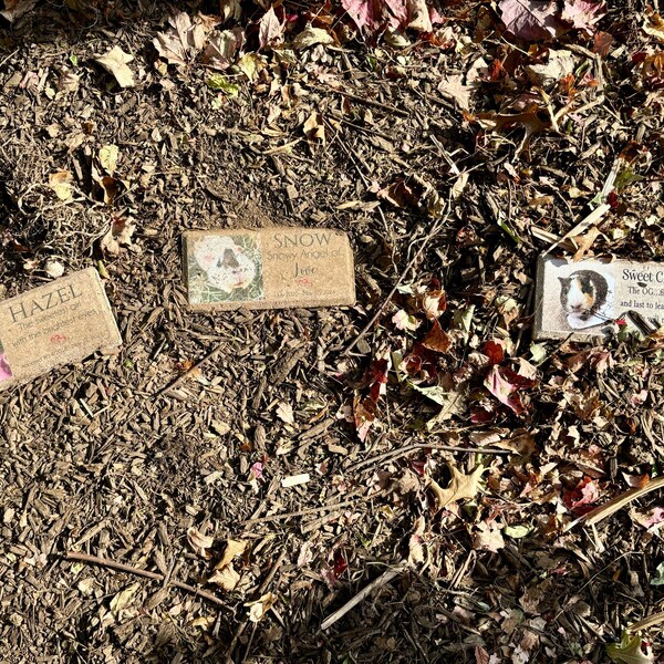 Personalized Horse Pony Memorial Stone. 8x4 Stone Brick. Burial Marker ...