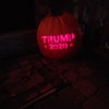Donald Trump Pumpkin Carving Patterns for Halloween // Trump 2024 Jack ...
