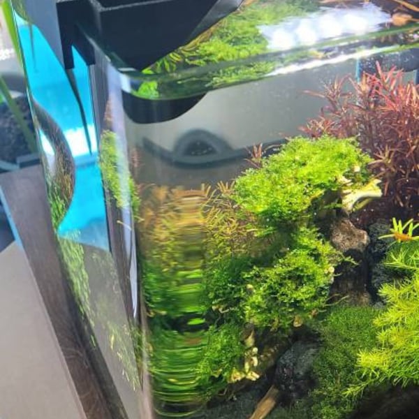 AK Kalashnikov AK47, AK74, Weapon Display Stand Rifle Stand Weapon ...