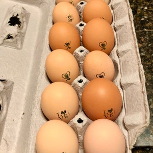 Mini Egg Stamp Chicken in an Arrow Heart Chicken Babies Mini Egg Stamps ...