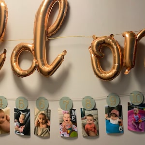 WILD ONE Balloon Banner Script Letter Balloons Wild One - Etsy