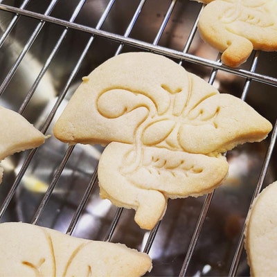 Gallbladder Cookie Cutter Bakerlogy Biscuit Cutters Gallstones ...