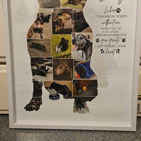 Staffordshire Bull Terrier Photo Collage Print: Personalized Pet ...