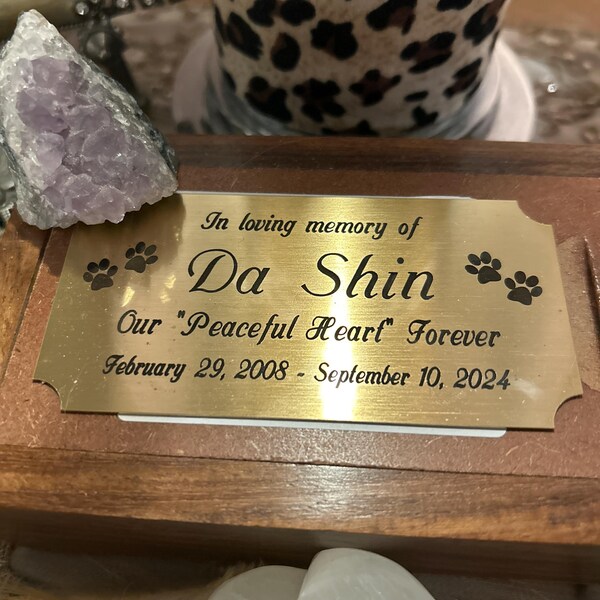Pet Memorial Engraved Solid Brass Urn Plate -paw Prints- Personalized ...