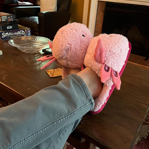 Coddies Shark Flops - Shark Fish Sandals - Funny Shoes - Fish Flip Flops - Gifts for Her, Gifts ...