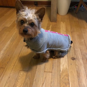 University of Michigan Dog Coat - Etsy