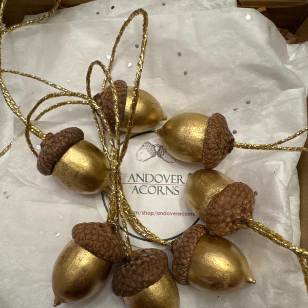 Festive Fall Felted Wool Acorns From the Forest, Thanksgiving Colors ...