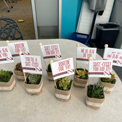 Graduation Succulent Plant Favors Custom Tags With School - Etsy