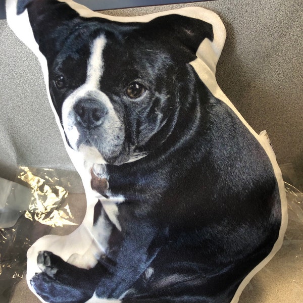 Custom Pet Pillow | Range of Sizes - Small Pet Pillow - Large Pet ...