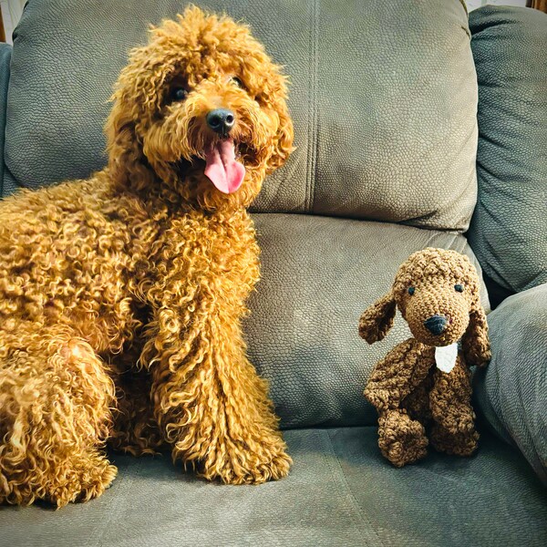 AMIGURUMI PATTERN/ Tutorial (english/español) Amigurumi Cockapoo Dog ...