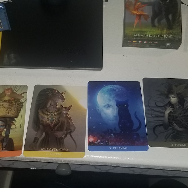 Fantasy Cats Oracle Kit Deck Cards Set Paolo Barbieri Card Booklet ...