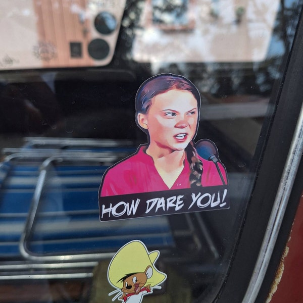 Greta Thunberg How Dare You Vinyl Sticker, Vinyl Decal Sticker for ...