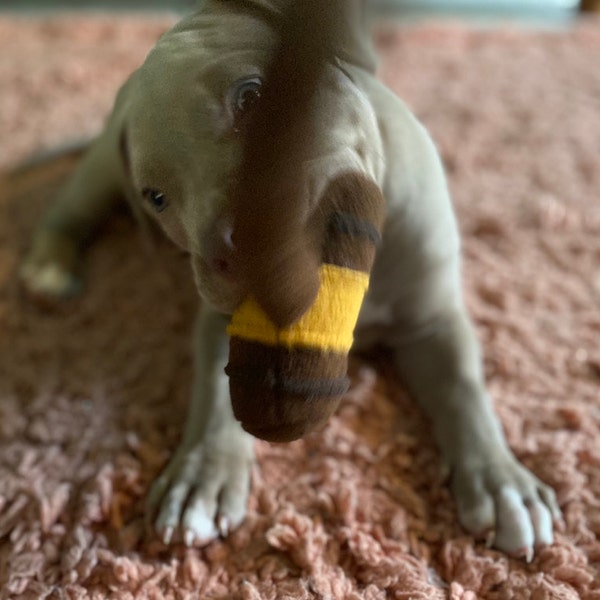 Squeaky Gavel Dog Toy - Etsy