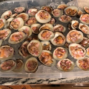 Clam Ram Clam Opener : Open Clams the EASY Way! Great Gift for Him ...