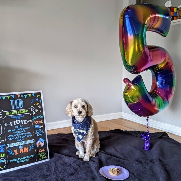 Printable Dog Birthday Chalkboard Sign Party Chalk Board Poster Banner ...