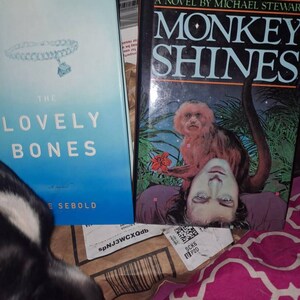 The ABC of Relativity Bertrand Russell Vintage Science Book Vintage ...