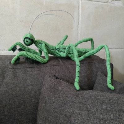 Praying Mantis Crochet Pattern - Etsy
