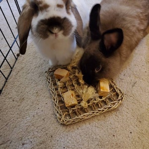 Tiny Flavored Balsa Triangles Pkg of 20 Fruit Flavored Chew | Etsy