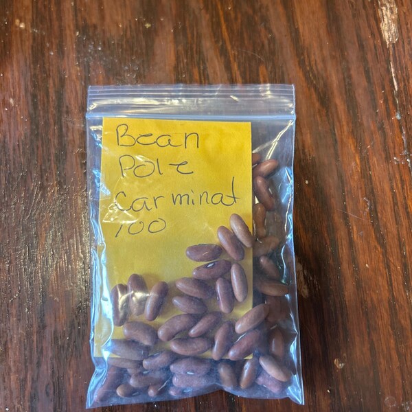 Pansy Lake of Thunder Heirloom Flower Seeds 25 - Etsy