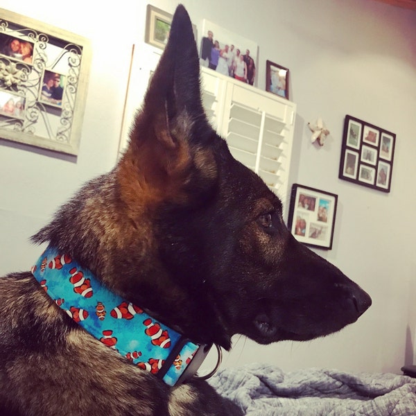 Hide Counter for Dog Scent Work - Etsy