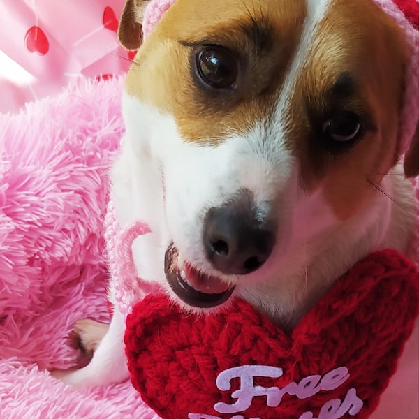 Heart Accessory for Dogs, Personalized Heart Sign for Dogs, Customized ...